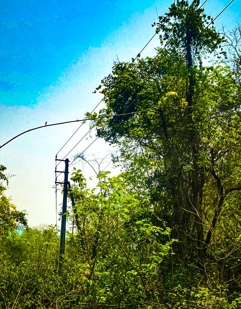 Executed Projects - PPIS Pvt